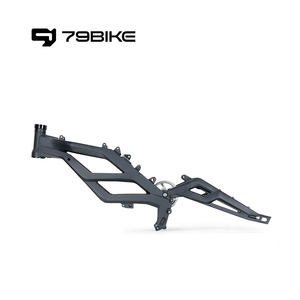 79BIKE Frame - Obsidian black series – 79BIKE Official