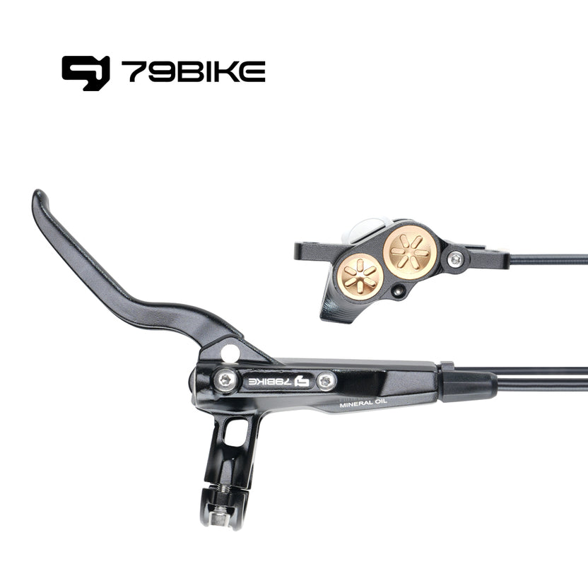 Collections – 79BIKE Official